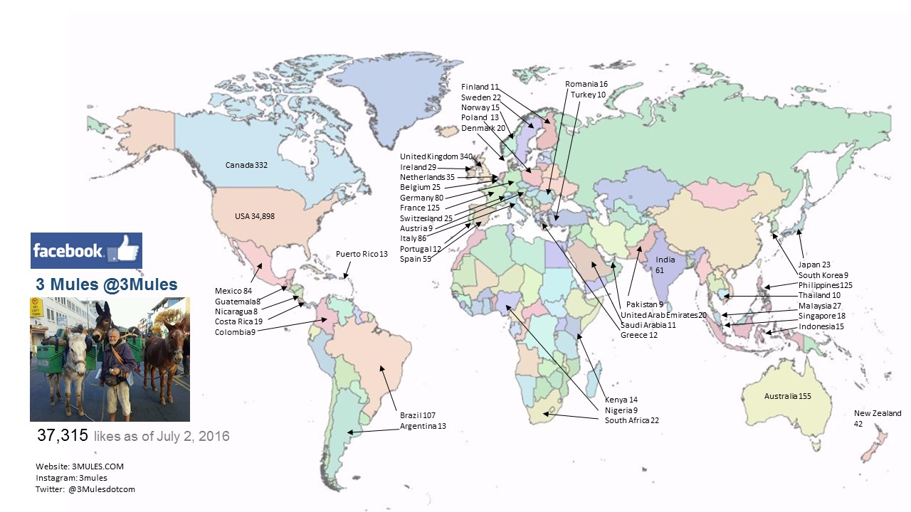 The Mules reach around the world – 3MULES.COM