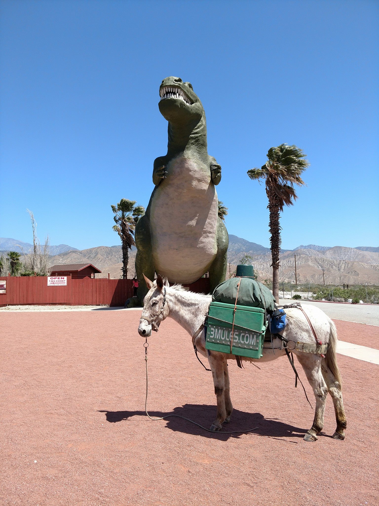 Cabazon to Palm Springs – 3MULES.COM