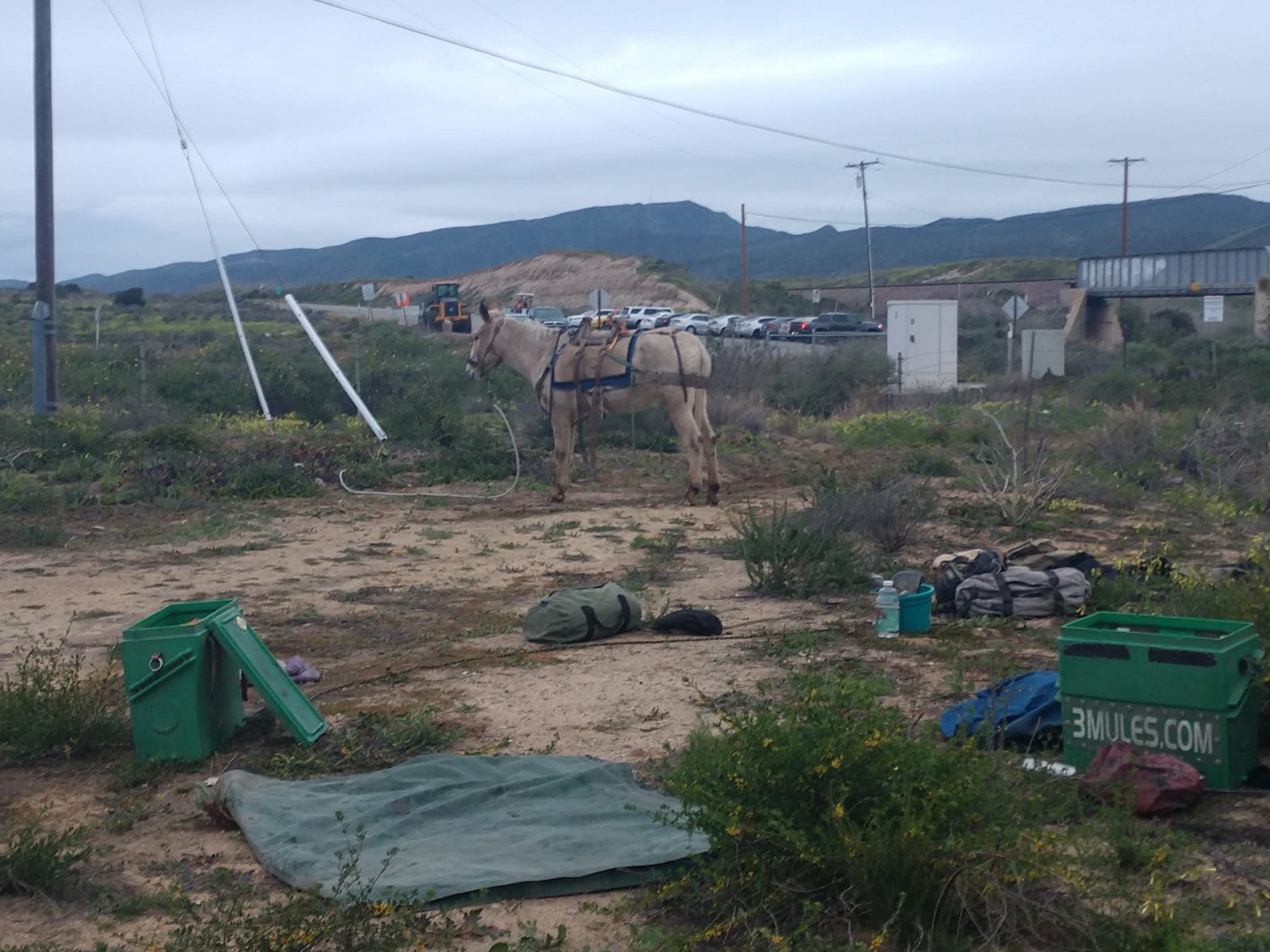 Agra CA – 3MULES.COM