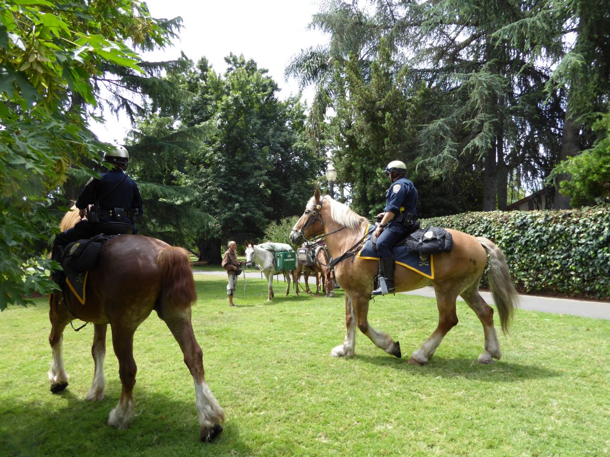 Sacramento State Capitol California Highway Patrol – 3MULES.COM
