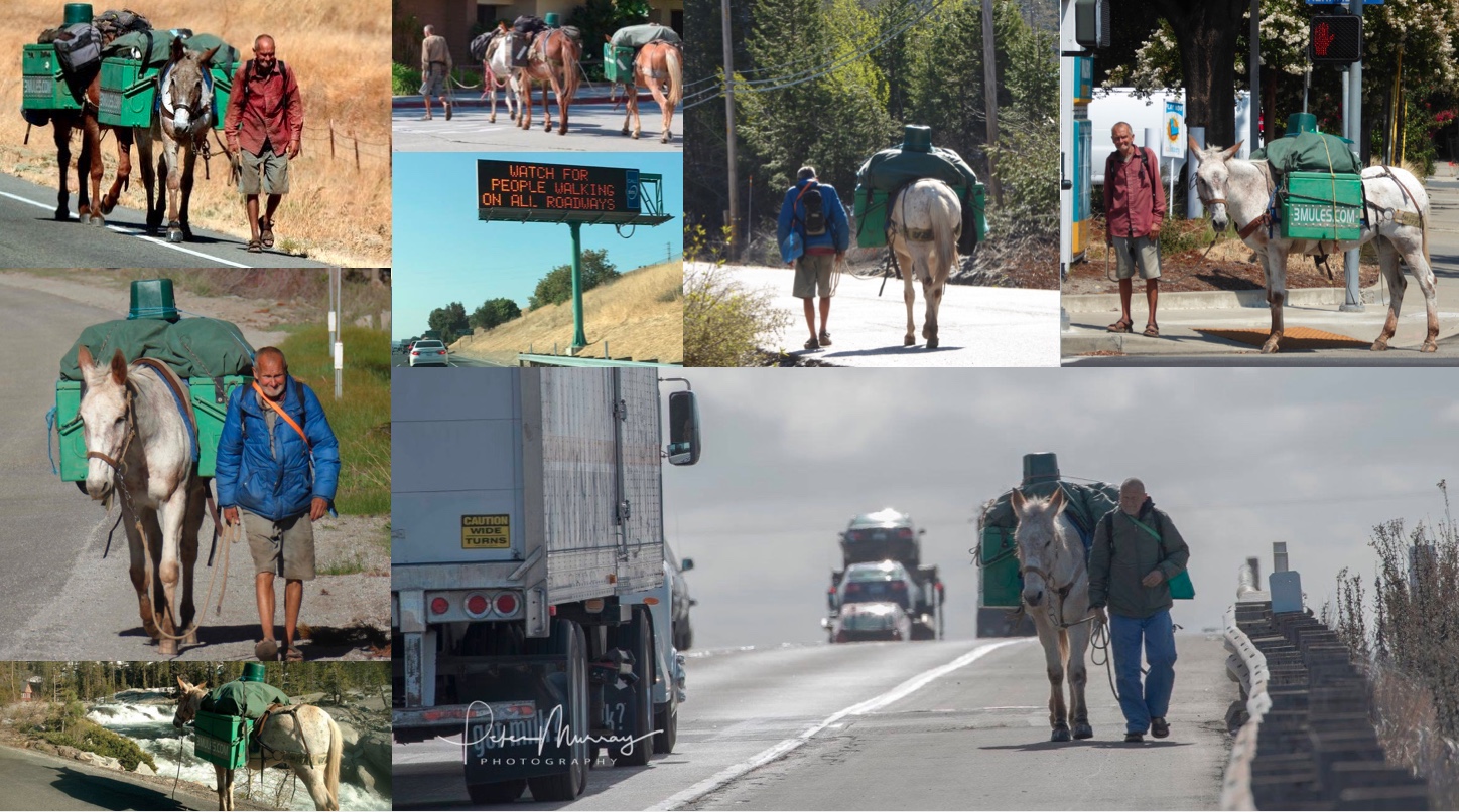 Is Anybody Safe? – 3MULES.COM