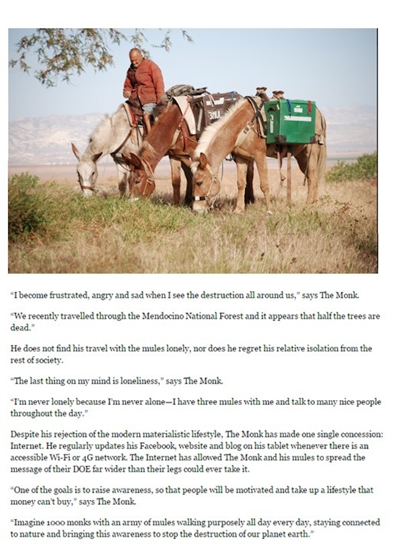 Three Mules and a Monk – 3MULES.COM