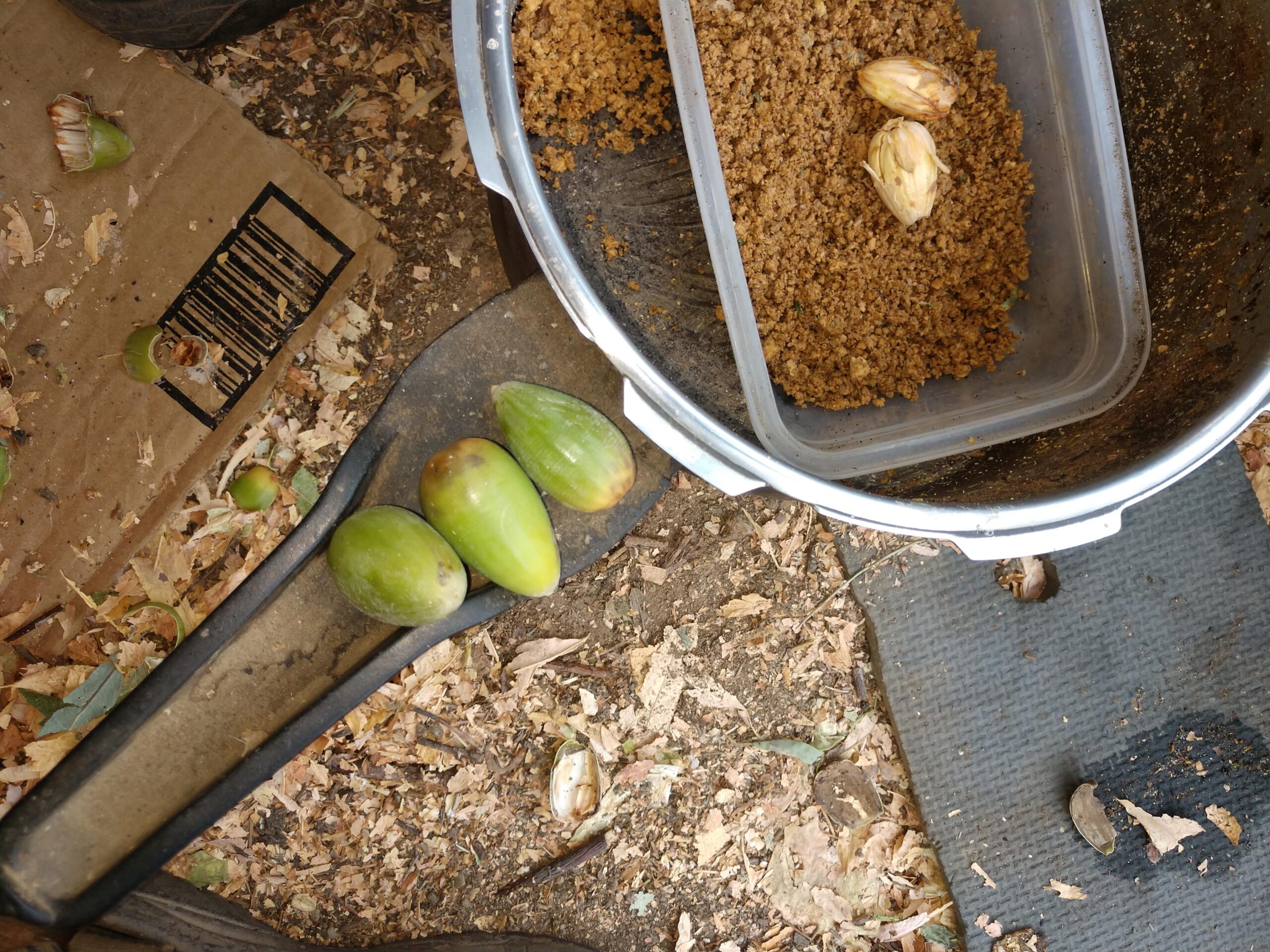 Mule’s Blog – 3MULES.COM